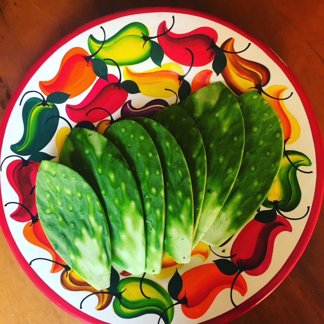 El nopal | En la mesa con la nutrióloga experta